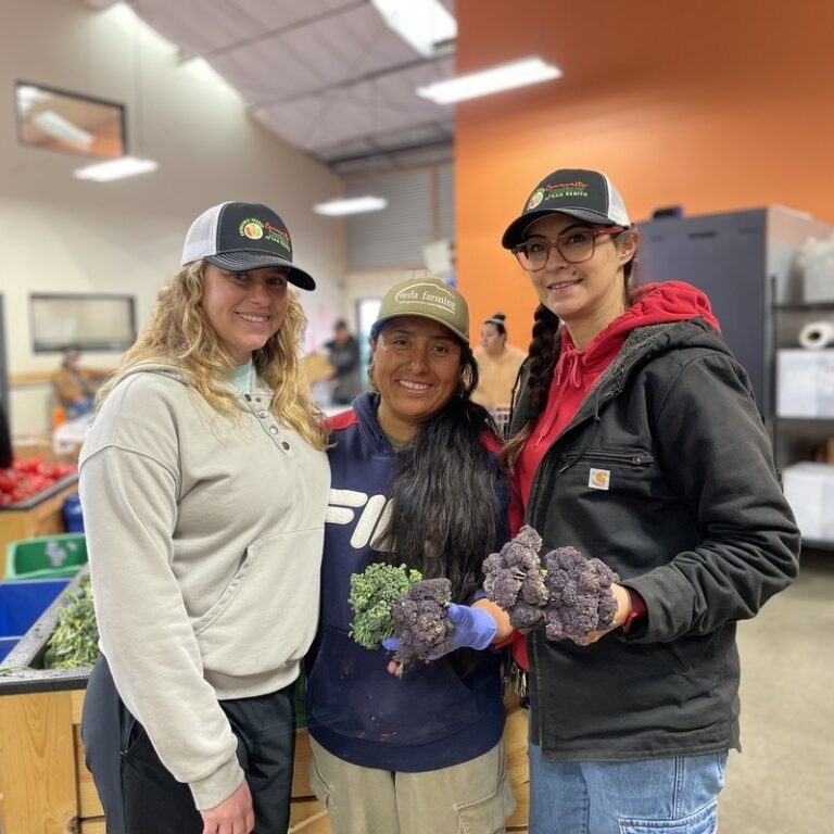 Wallace Center : Farm to Food Assistance Technical Support