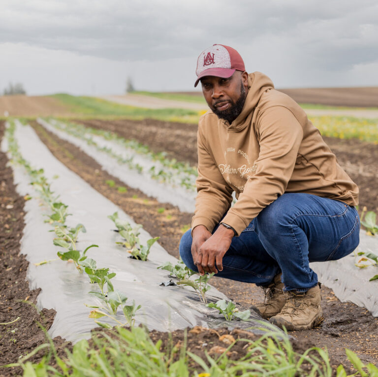 Wallace Center : Farm to Food Assistance Technical Support